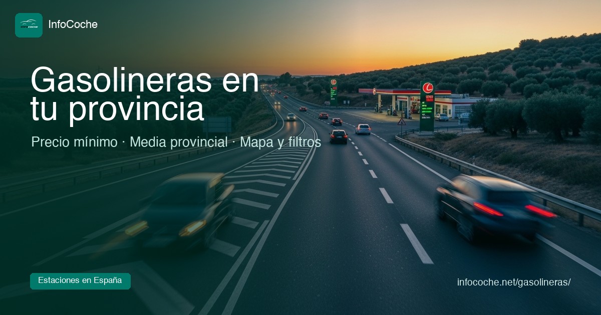 Gasolineras en Lugo | Precio gasolina hoy | InfoCoche
